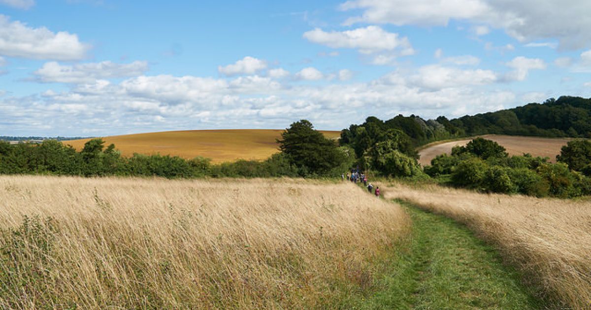 Breamore circular. - Ramblers