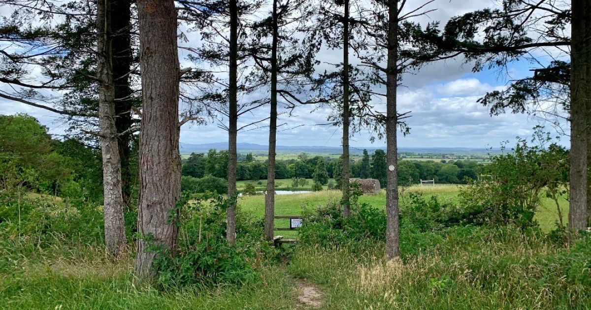 Abbots Morton, Worcestershire - Ramblers