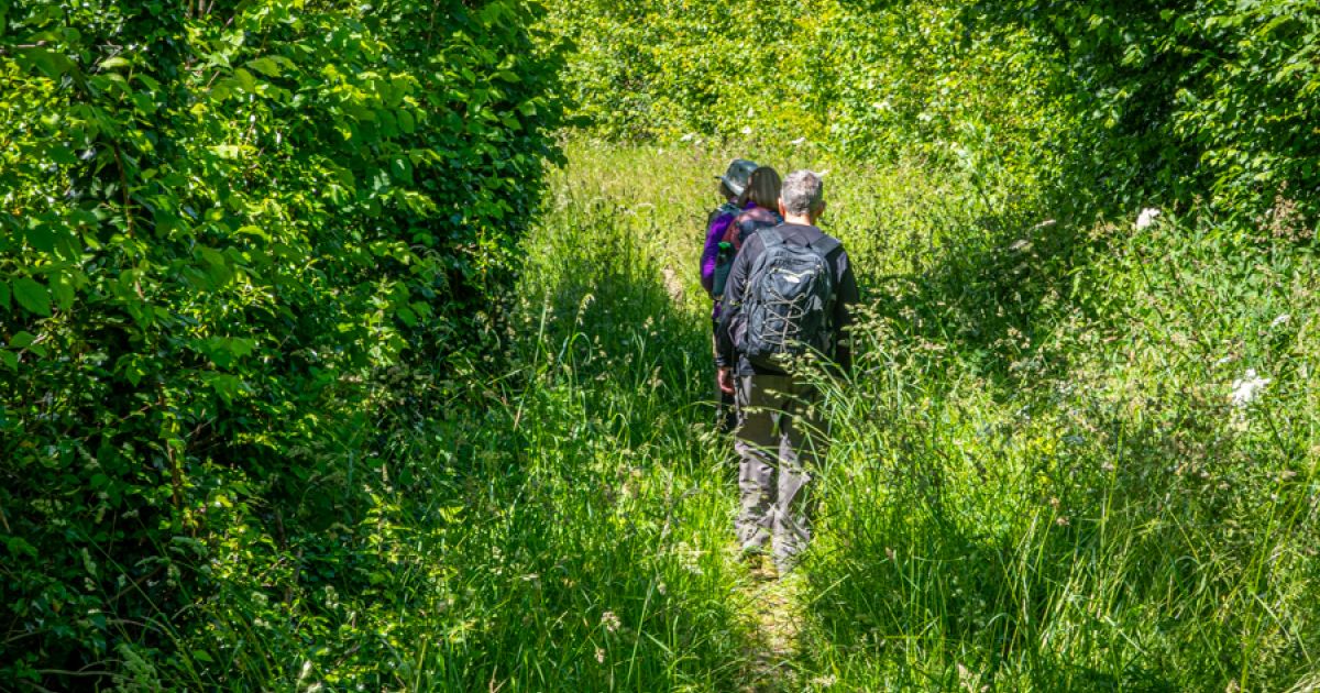 Middle Woodford circular. - Ramblers