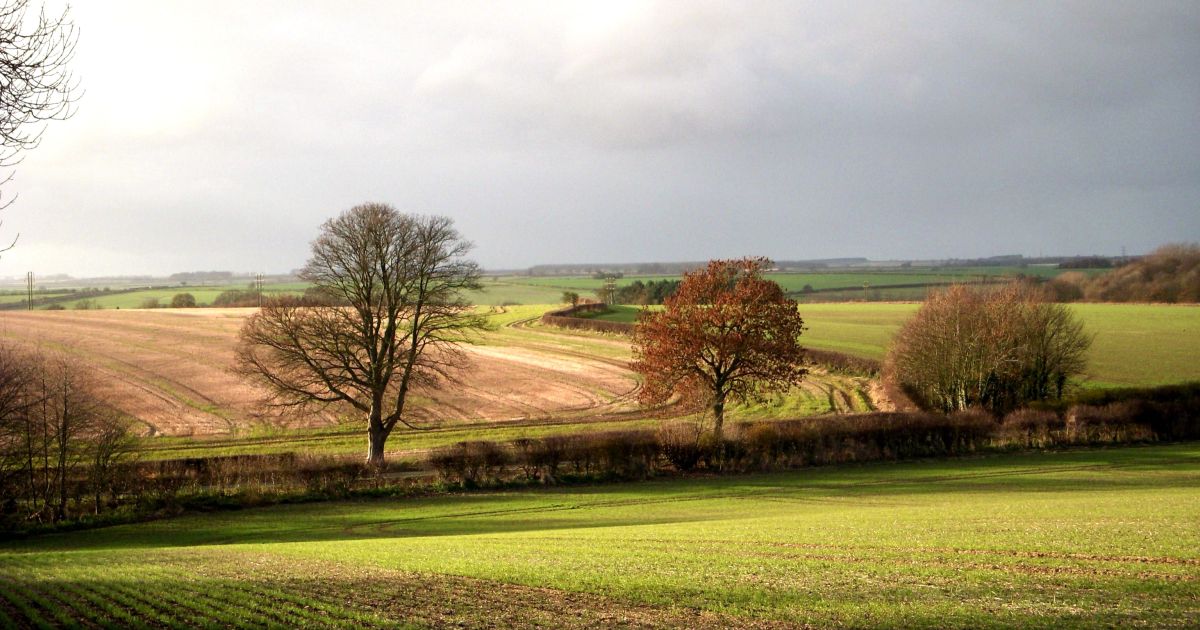 Wold Newton - Ramblers