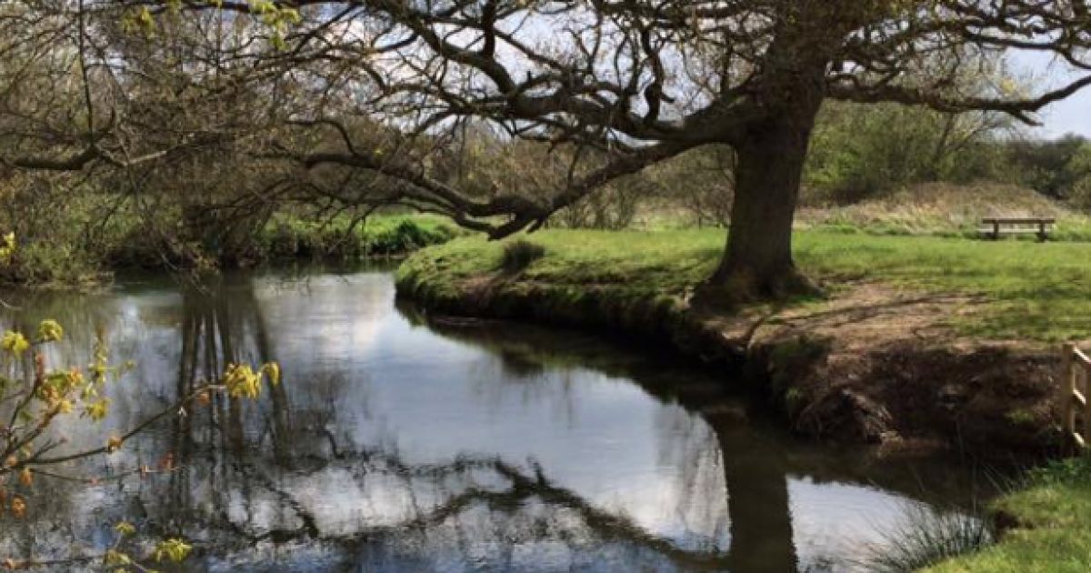 A Rose by Any Other Name - Ramblers