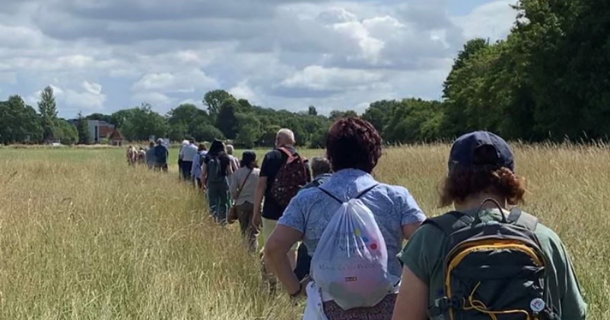 Hedgerley and Burnham Beeches - Ramblers