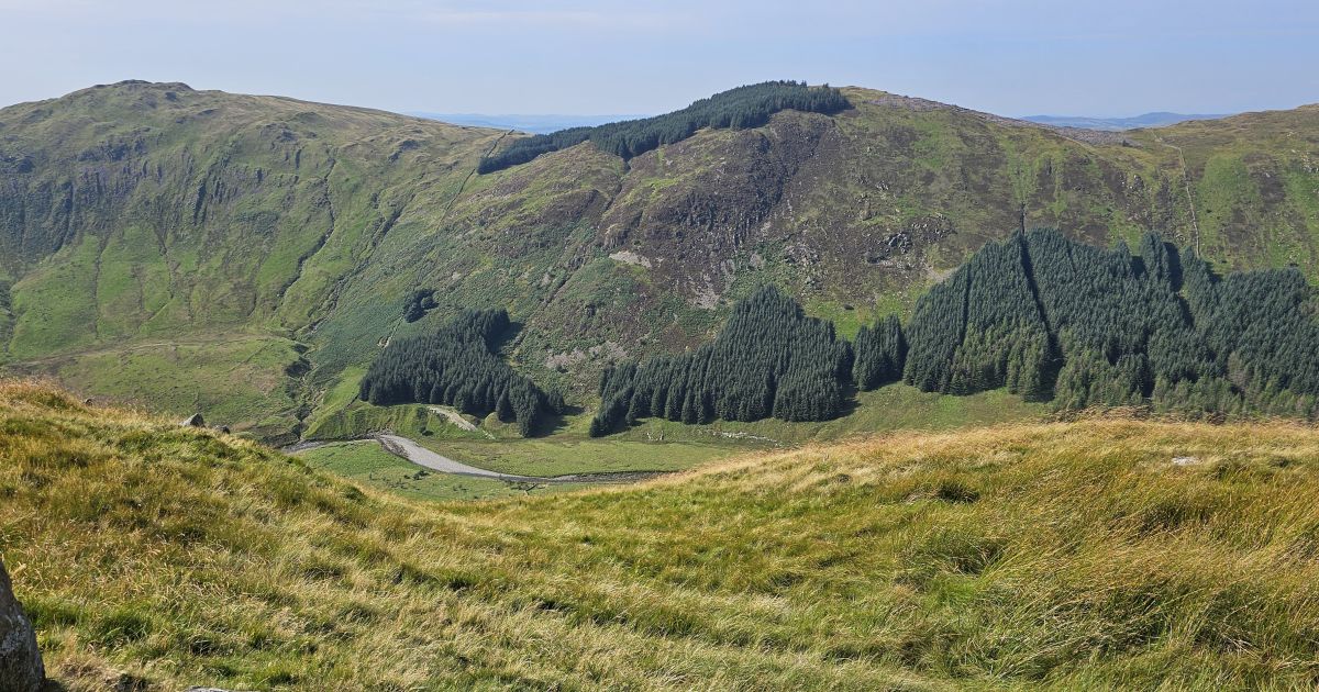 Tebay's Borrowdale from Roundthwaite - 🐝🐝+ Group - Ramblers