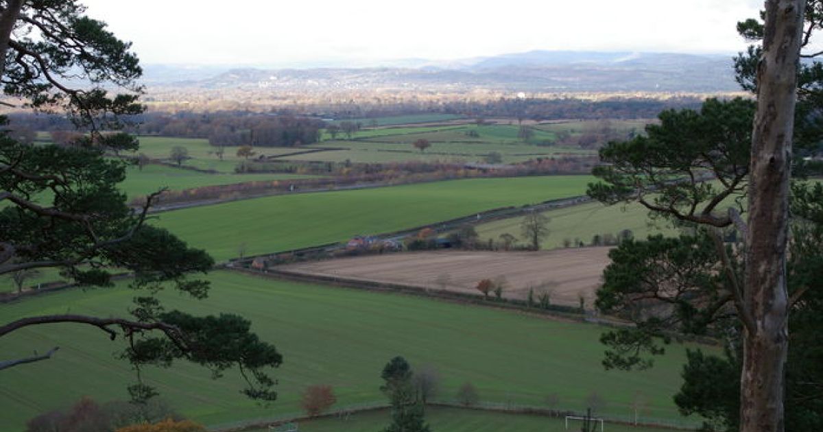 New Year's Eve Walk: Nesscliffe Hills and The Cliffe Countryside ...