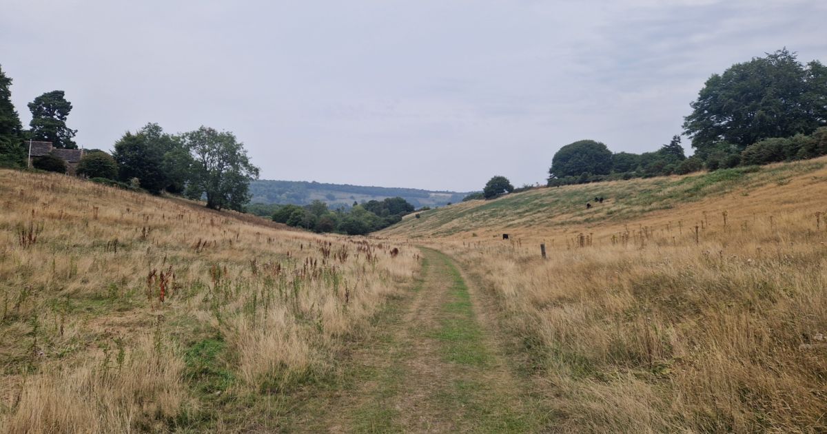 Walk from Wotton Hatch - Ramblers