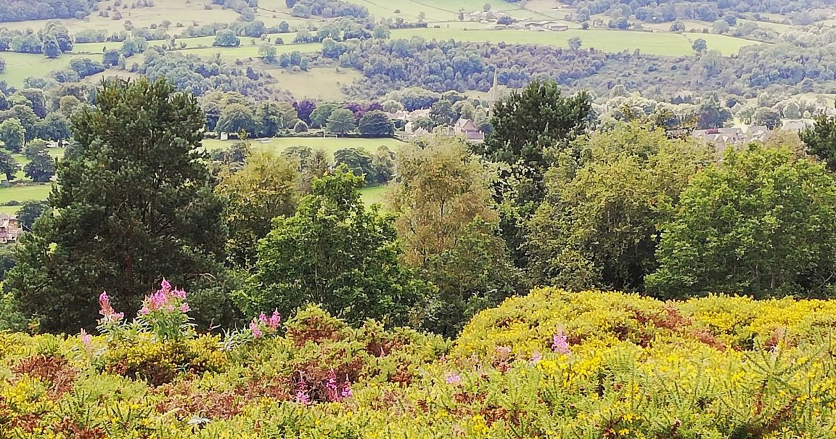 Ashover via Ravensnest and Fallgate - Ramblers