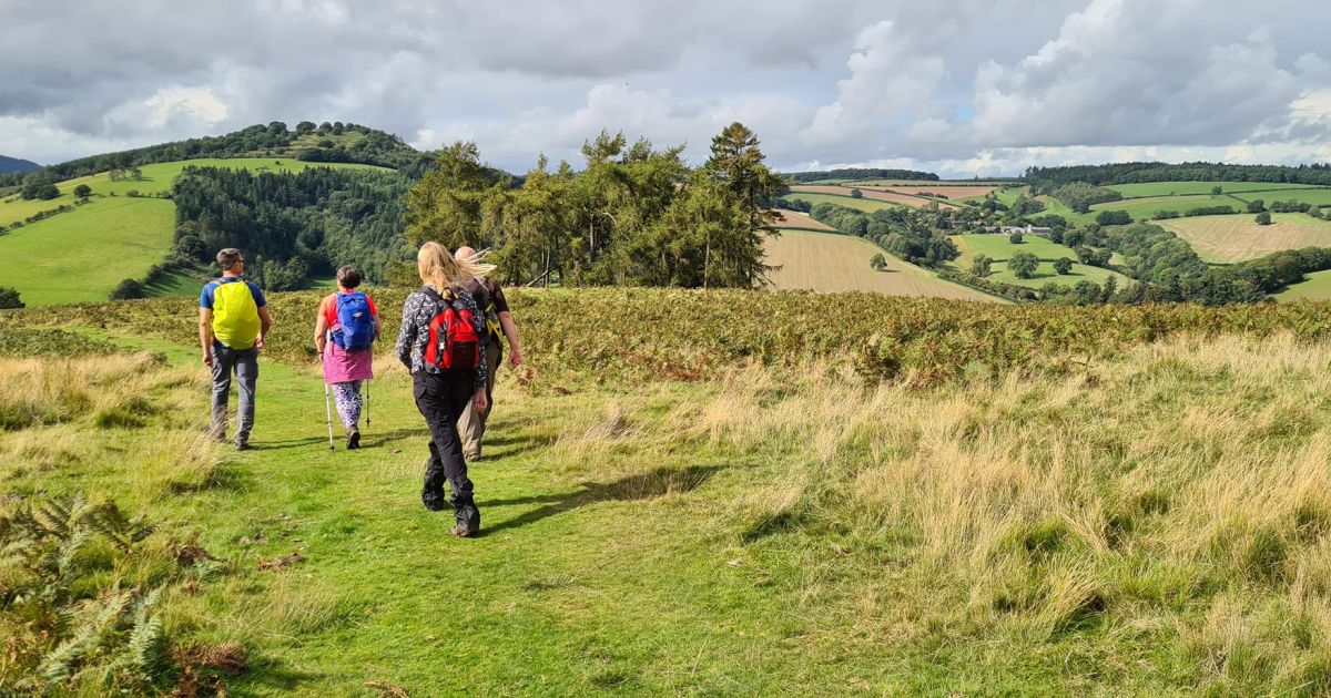A Shropshire Way Aston on Clun, Hopesay Hill & Kempton Circular - Ramblers