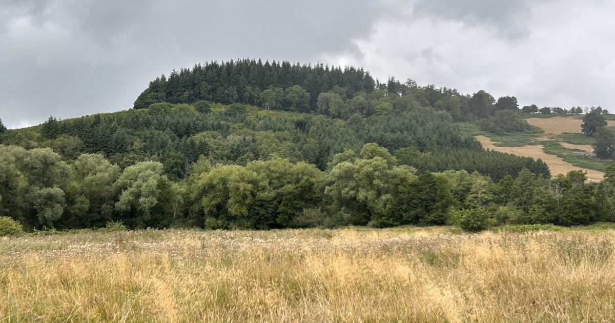 Two Castles Walk - Ramblers