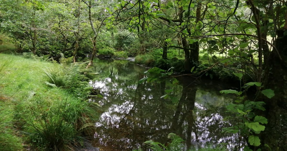 CANCELLED-Circular Walk from Corris- CANCELLED - Ramblers
