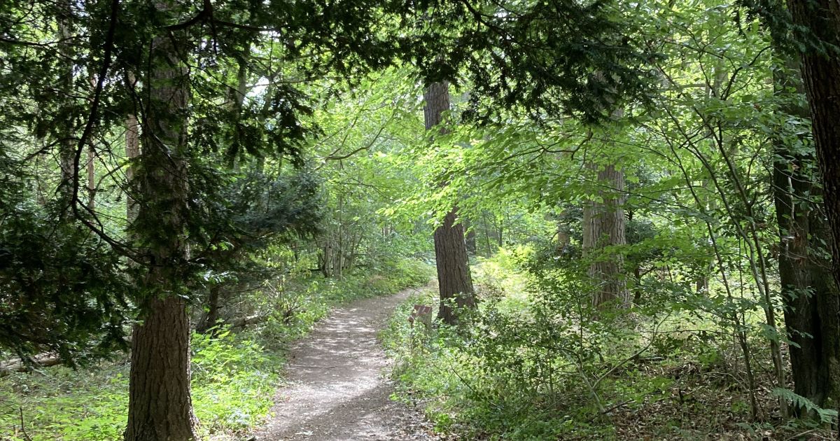 Causey Arch and Tanfield Railway - Ramblers