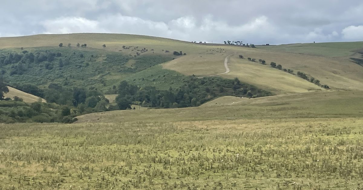 Clun to Offa's Dyke and Jack Mytton Way - Ramblers
