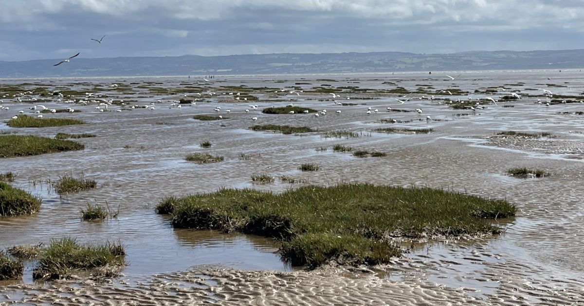 A walk to the sea - The Wirral coast & Hilbre Island - Ramblers