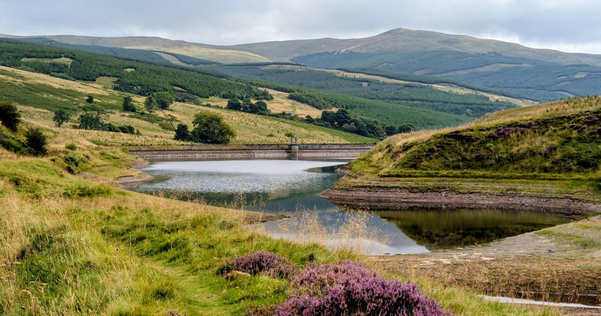 MacRae Monument - Jerah - Big Hunt Hill Circular - Ramblers