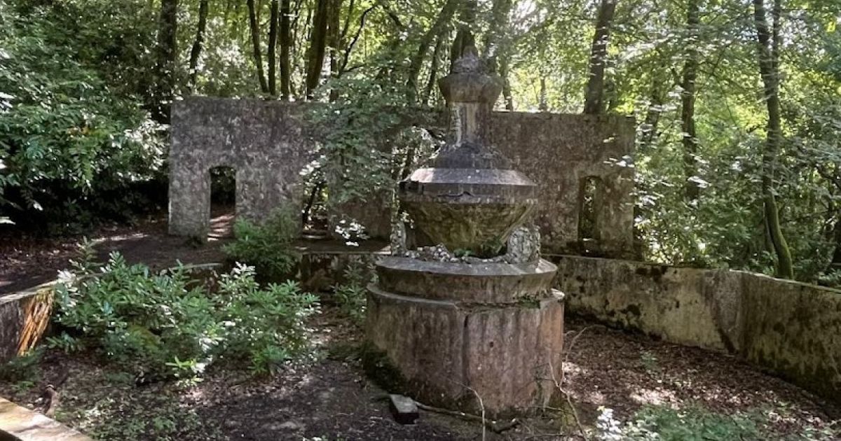 LERRYN TO ST VEEP CIRCULAR WALK - Bookings Required - All Welcome ...
