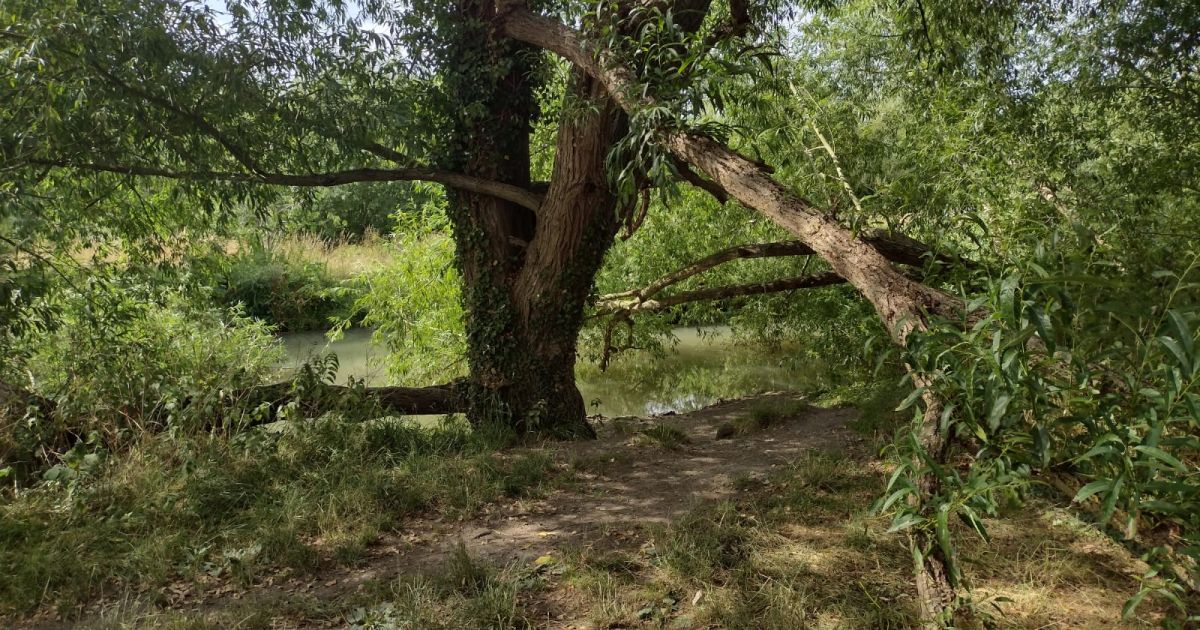 Trumpington circular, 9 miles, leisurely - Ramblers