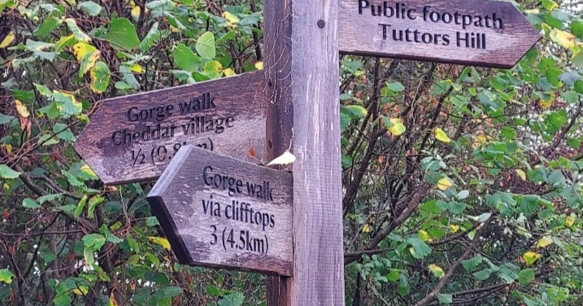 Burrington Combe and Cheddar. Please book with the Leader by phone/text ...
