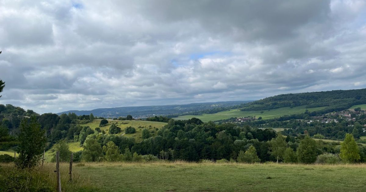 Box Hill Stroll - a short social walk - Ramblers