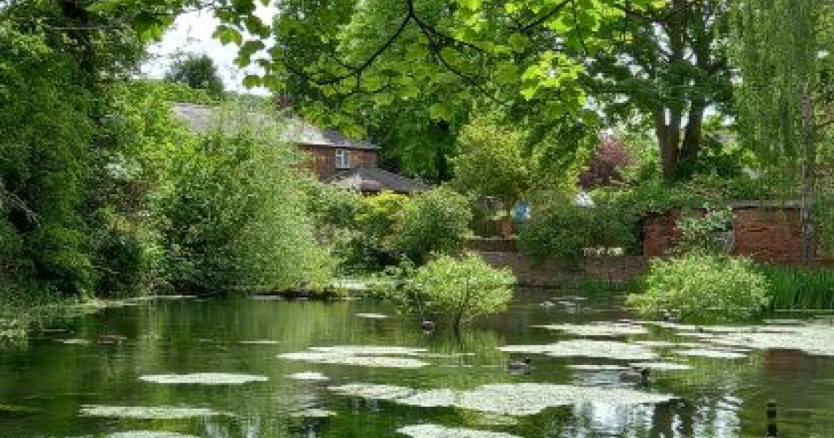 Wendover Canal and Woods - Ramblers