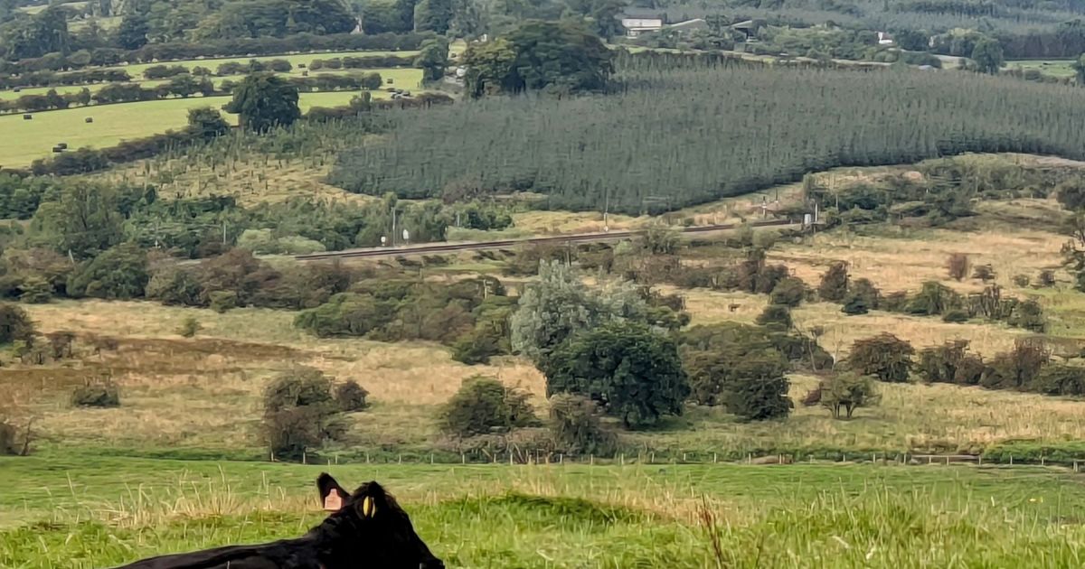 Howwood to Lochwinnoch via Castle Semple and RSPB Scotland - Ramblers