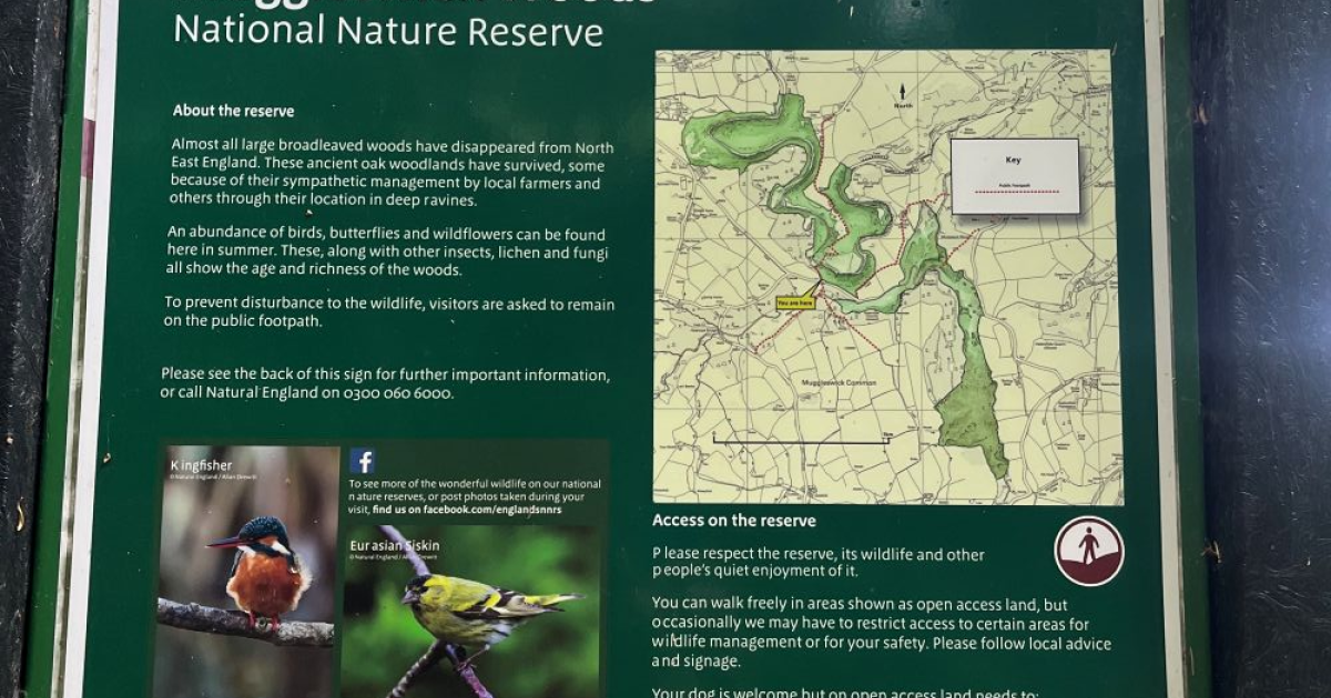 Derwent Gorge & Muggleswick Woods - Ramblers