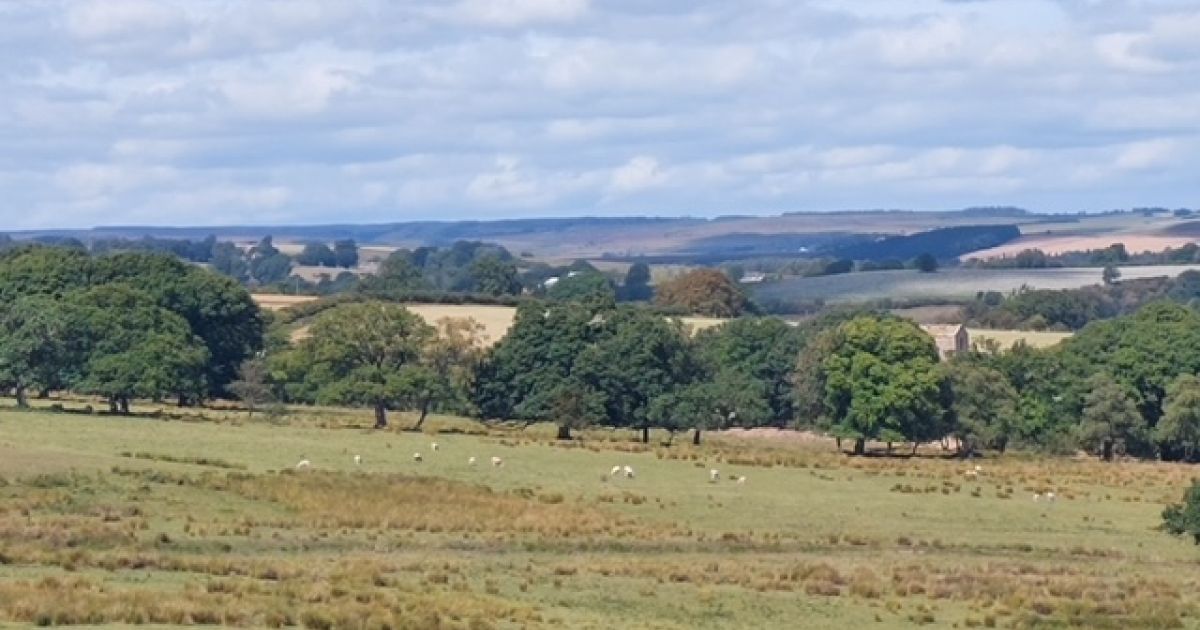 Allensford and the Waskerley Way - Walk Full - Ramblers