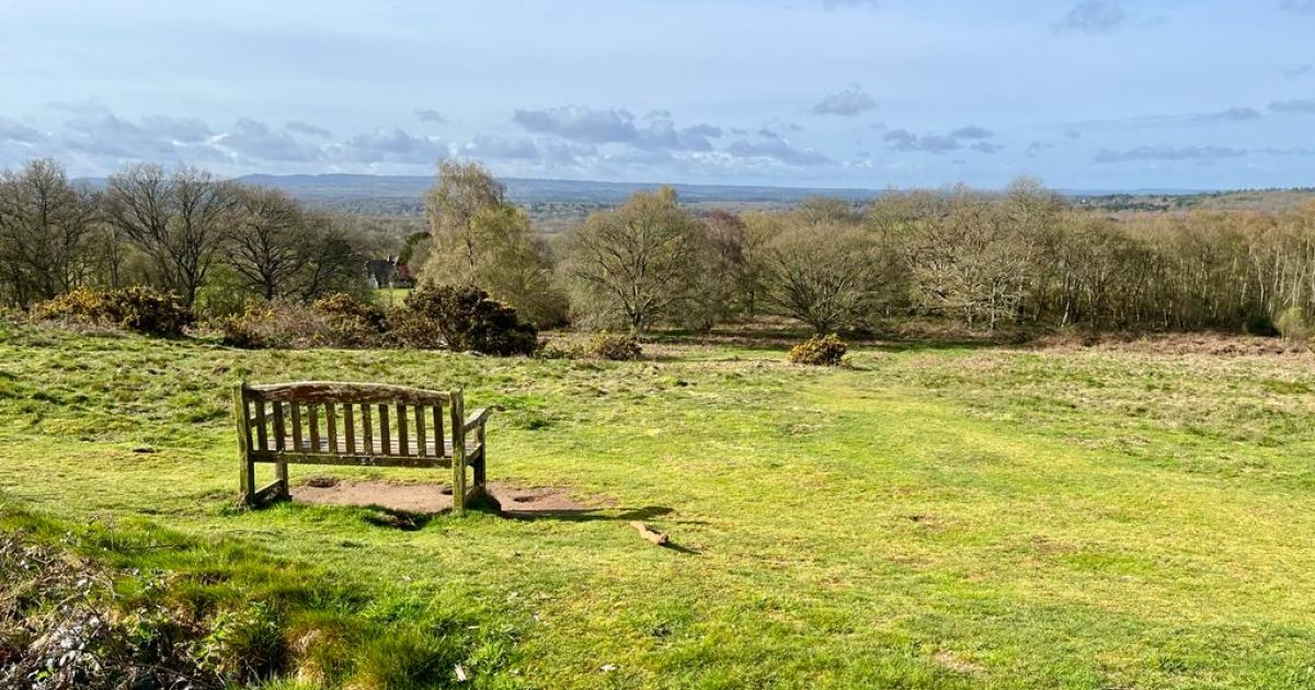 Newlands Corner and Merrow Downs - Ramblers