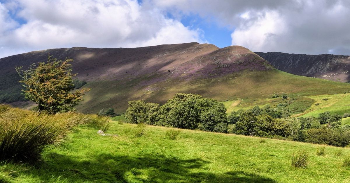 An Alternative Newlands Round - 🐝🐝+ - Ramblers