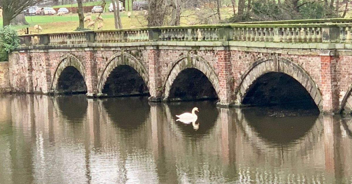 Redesmere & Capesthorne - Thur 4 Dec - Ramblers