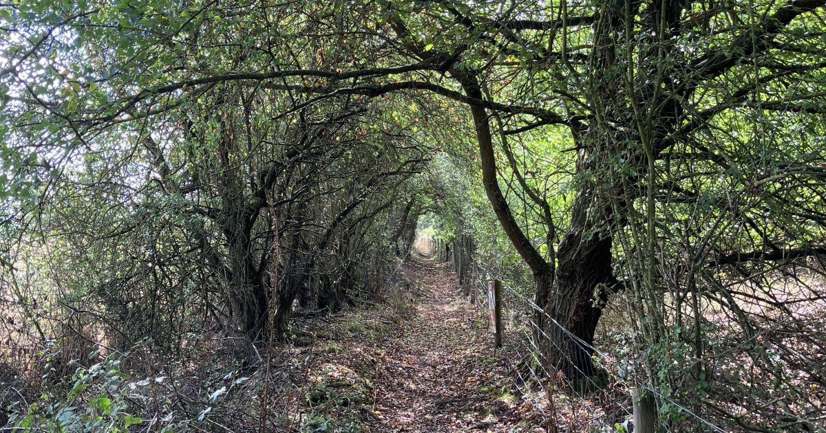 Meriden circular short walk (6 miles) - Ramblers