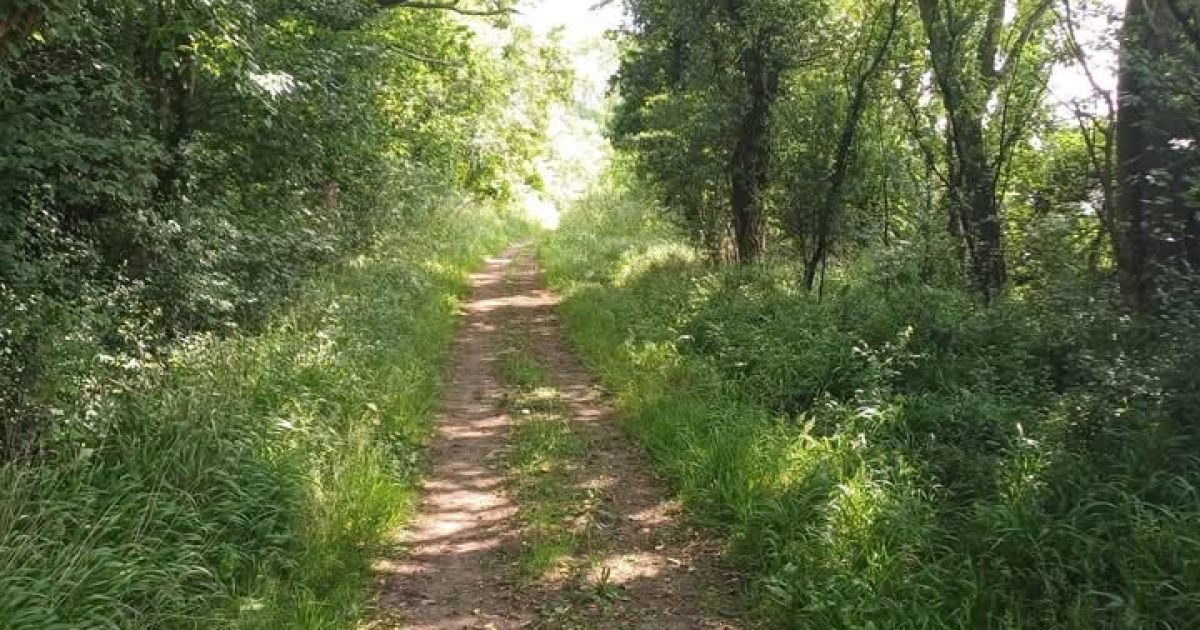Circular walk from Albury - Ramblers