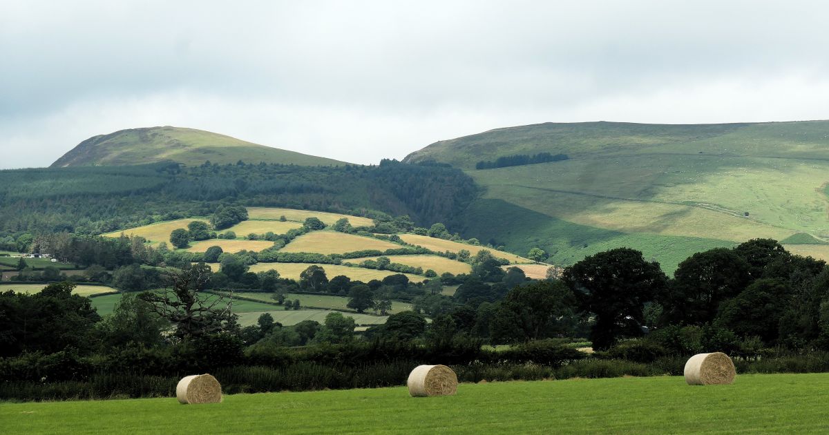 New Radnor Ramble - Ramblers