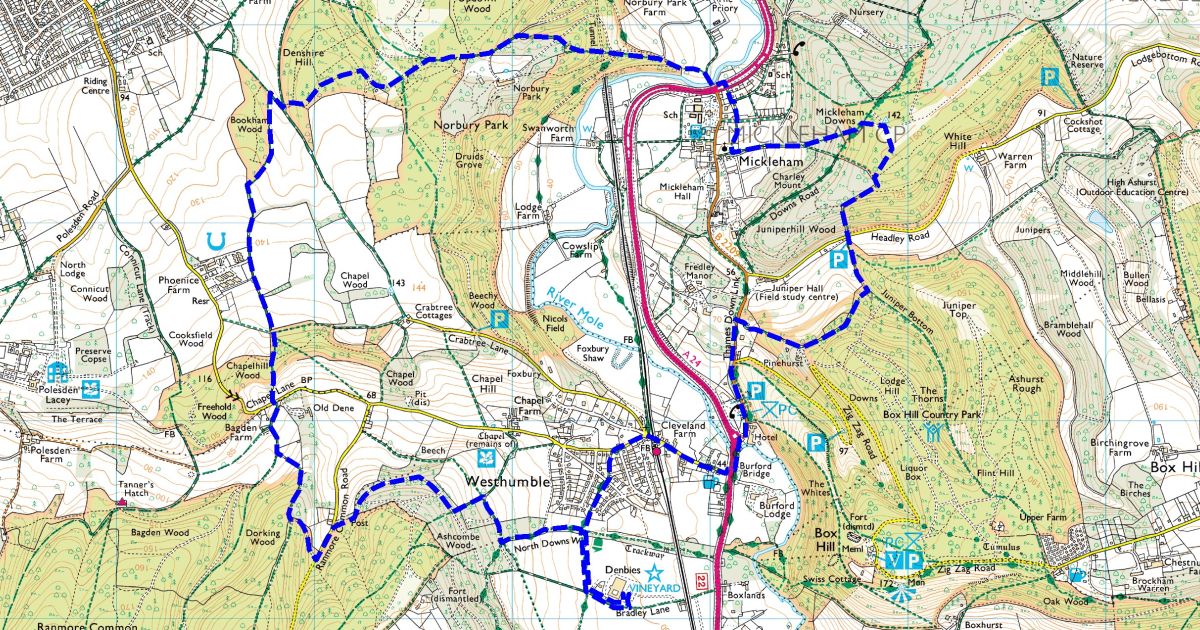 Denbies to Norbury Park circular route - Ramblers