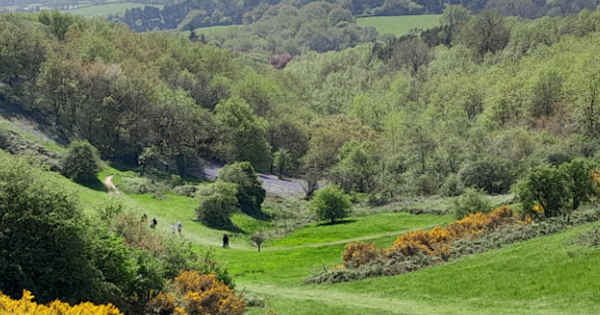 Lickey Beacon to Waseley Country Park - Ramblers