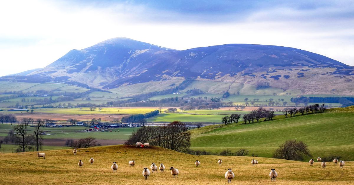 Tinto Hill, a Graham, near Lanark - Ramblers