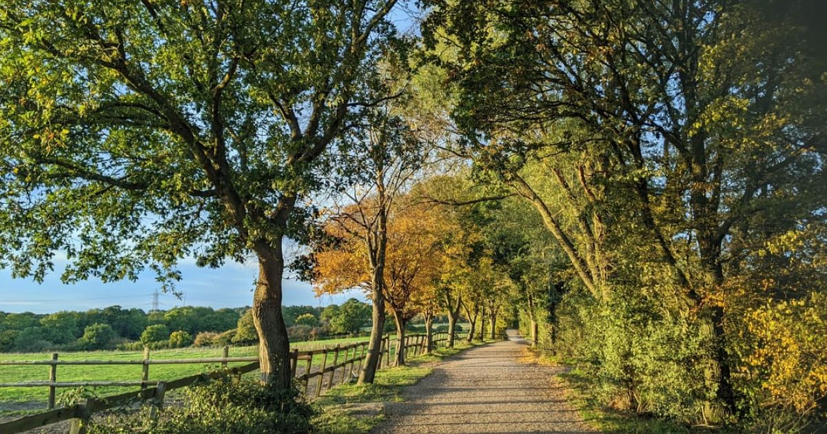 Neurodiverse Friendly Walk: Chessington Countryside Walk - Ramblers