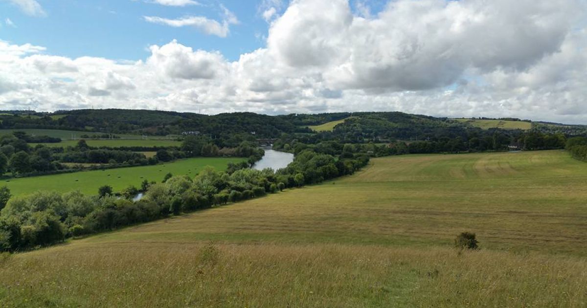 Chiltern Way Section 7 (and a bit) - Woodcote to Ewelme, then back to ...