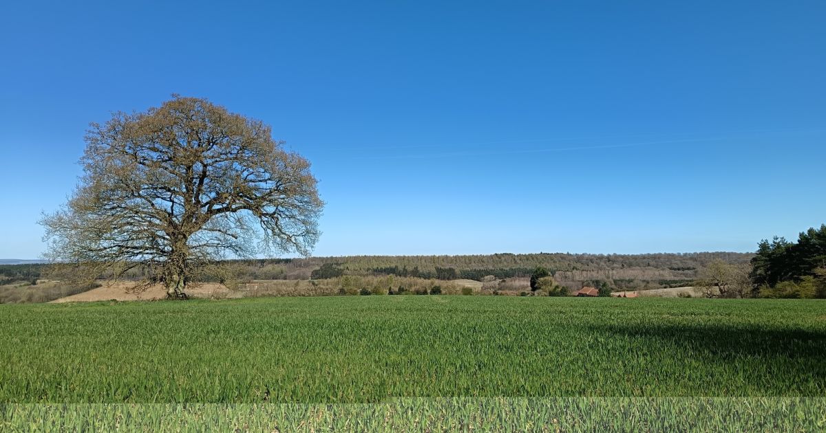 Annual Meeting and walk at Hovingham