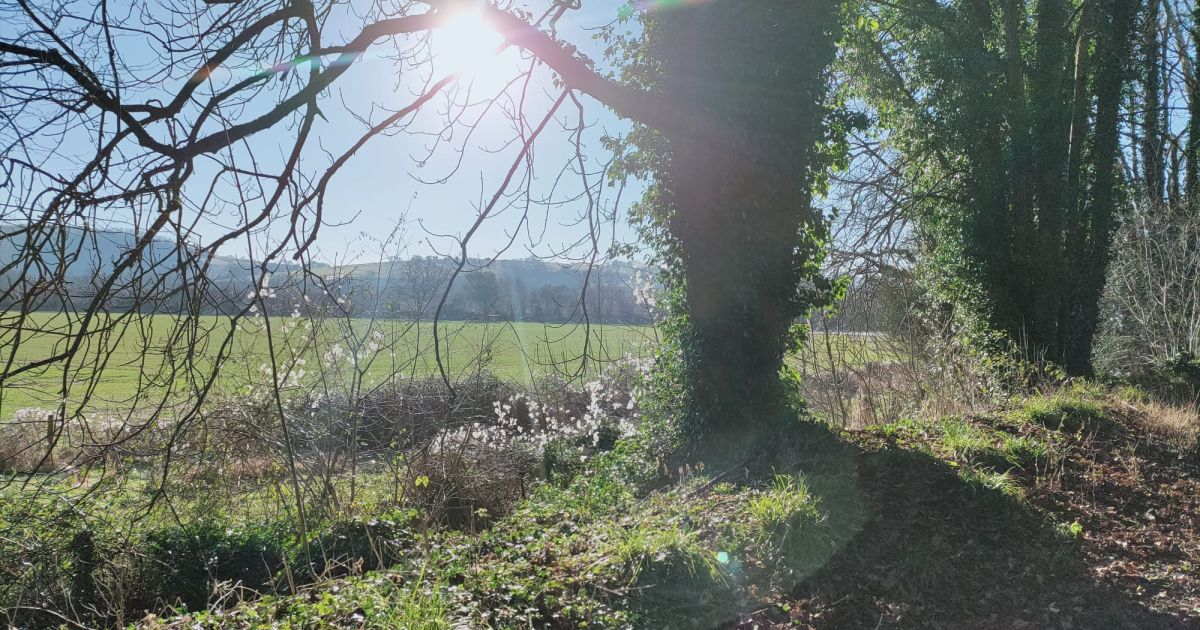 WEST MEON - Ramblers
