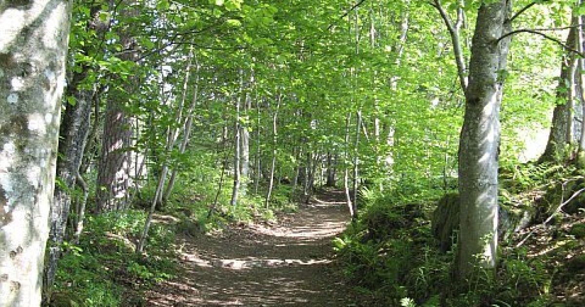 Moulin to Killiecrankie Circular - Ramblers