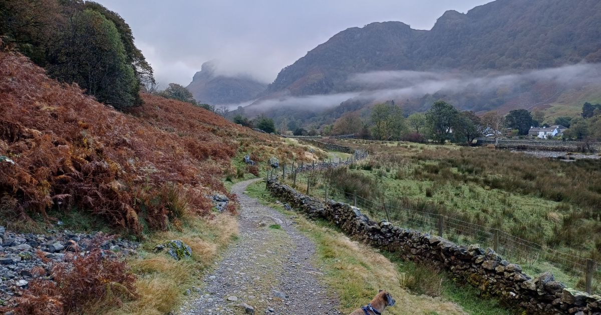 Great Crag and Brund Fell - 🐝🐝+ Group - Ramblers