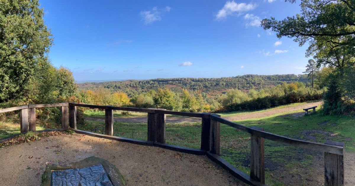 Hindhead Common & Devil's Punch Bowl - Ramblers