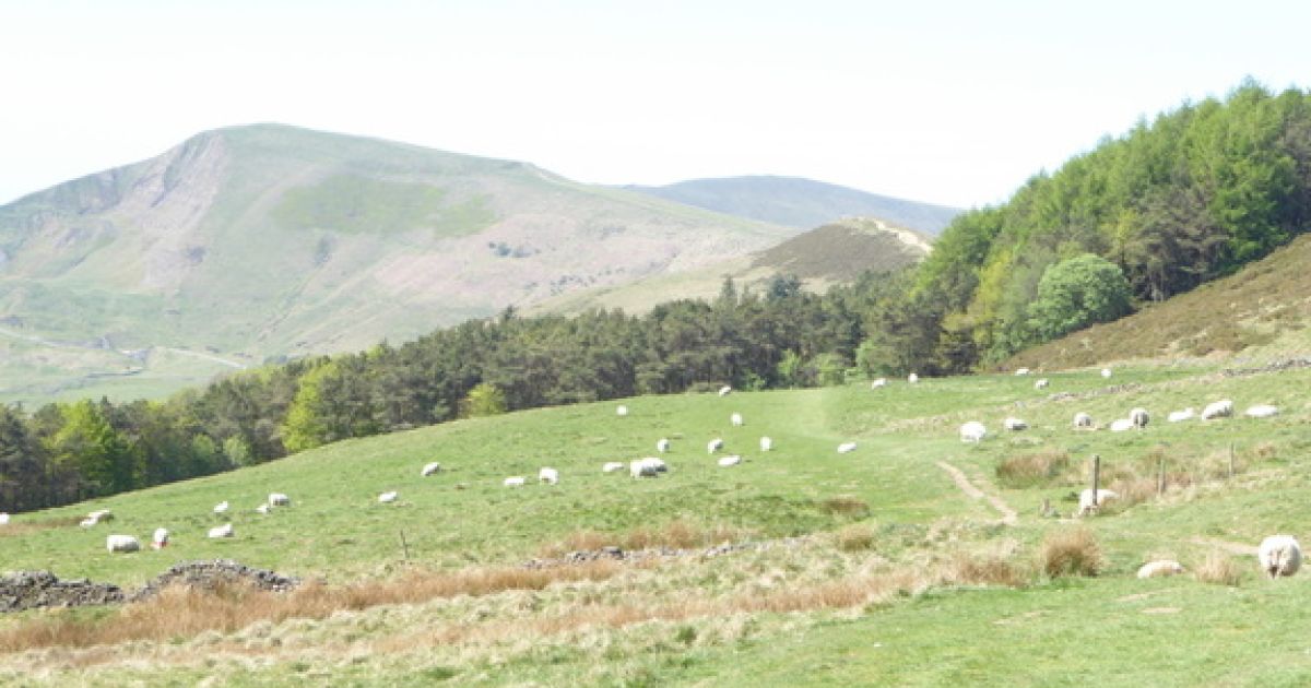 Castleton Circular Ridge Walk - Ramblers