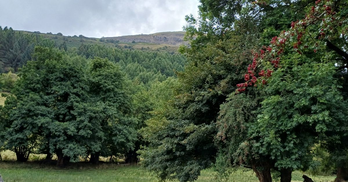 Walk to Craig y Ciliau, Llangattock - Ramblers