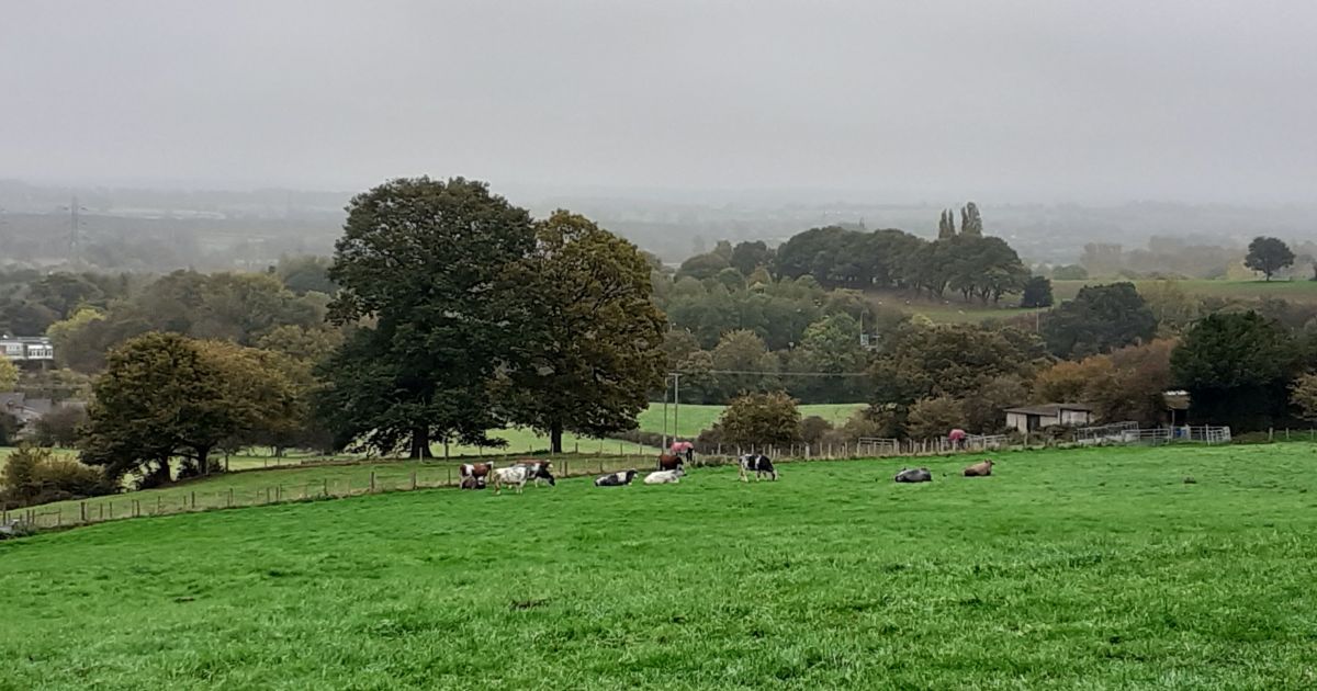 Stile Cop to Upper Longdon circular - Ramblers