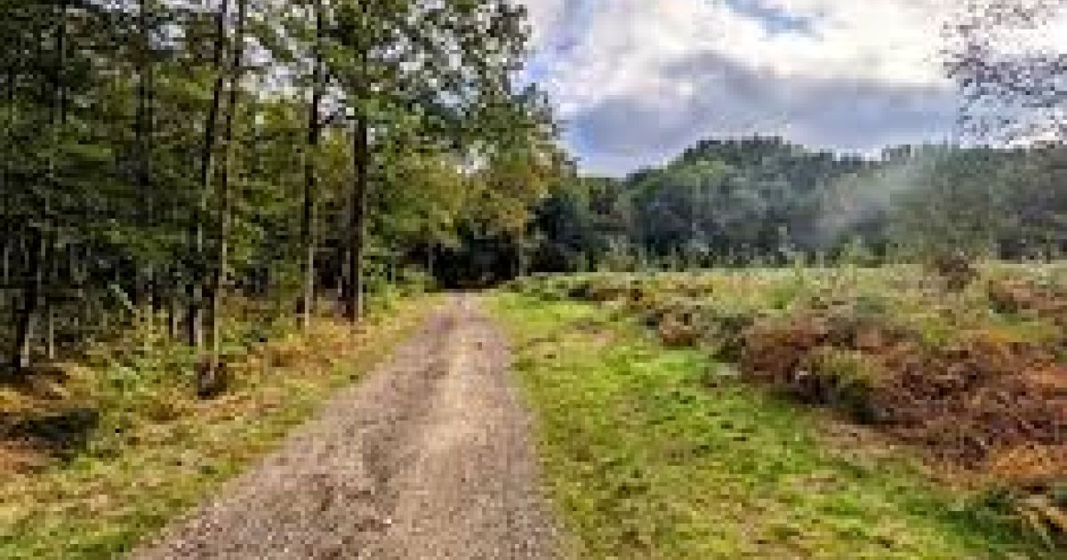 A Princely walk - Claygate to Ashtead - Ramblers