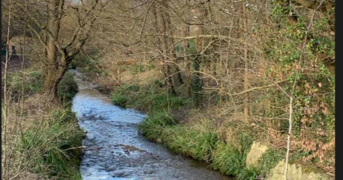 Neurodiverse Friendly Walk: Hogsmill River Trail via Berrylands Station ...