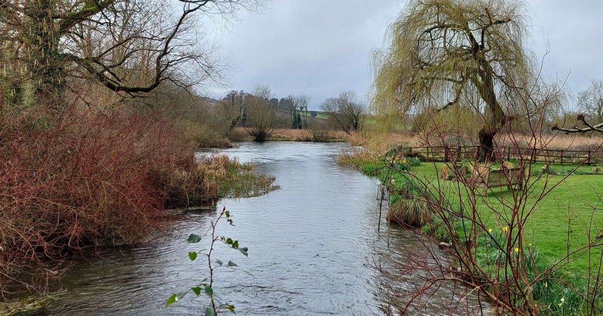 Itchen from Riverside Park circular - Ramblers