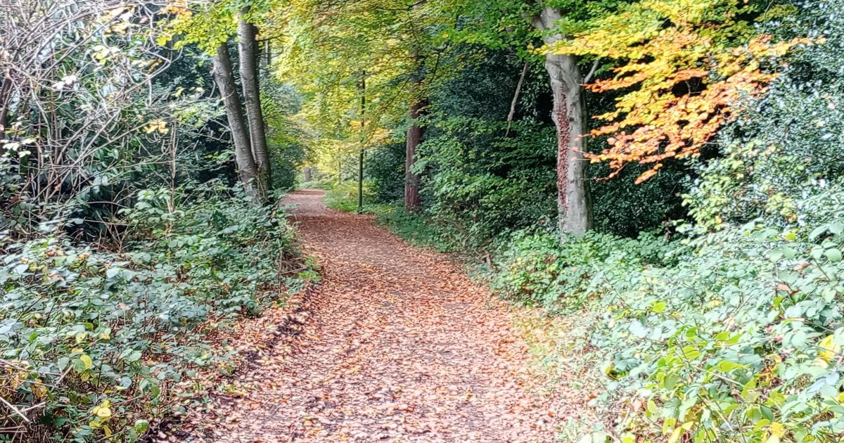 Sarratt to Flaunden - Ramblers