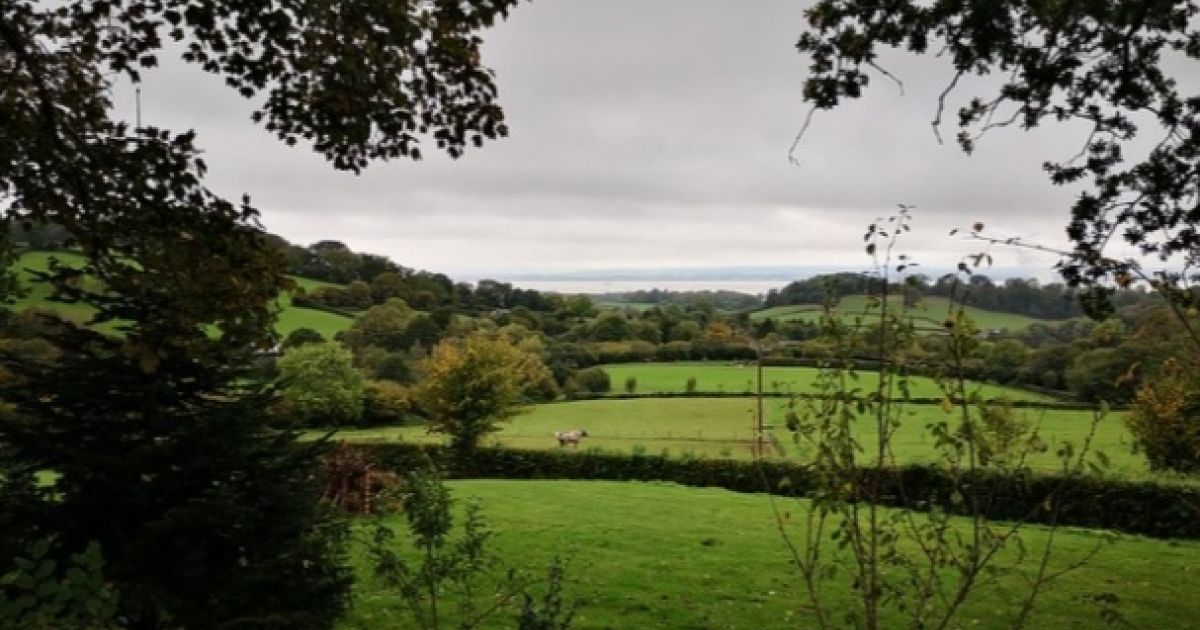Easton-in-Gordano, Pill and Lower Failand. Please book with the leader ...
