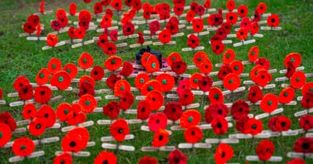 Remembrance Walk Saturday 8th November - Ramblers